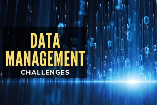 Top IT Data Management Challenges