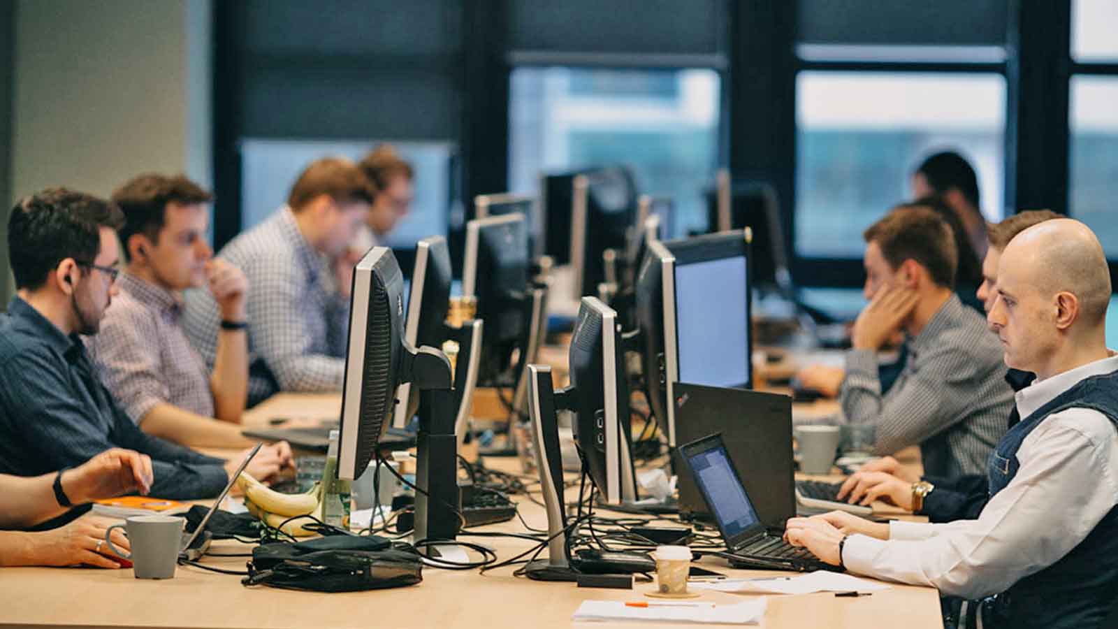 Dynamics 365 development | IT service | anegis.com