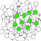 Target control of complex networks