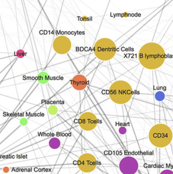 Publications | Network Science Institute at Northeastern University