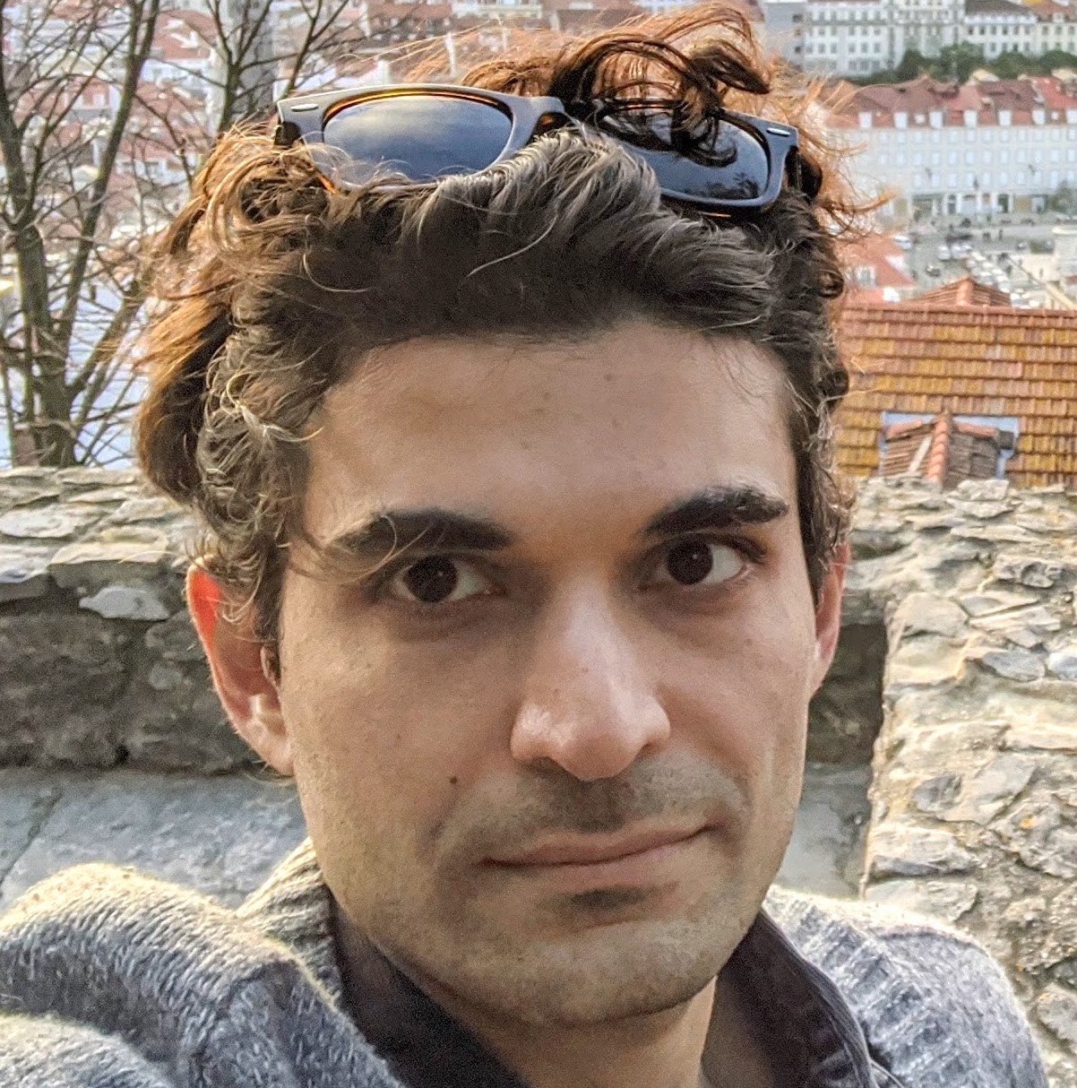 Talks at the Network Science Institute | Eaman Jahani