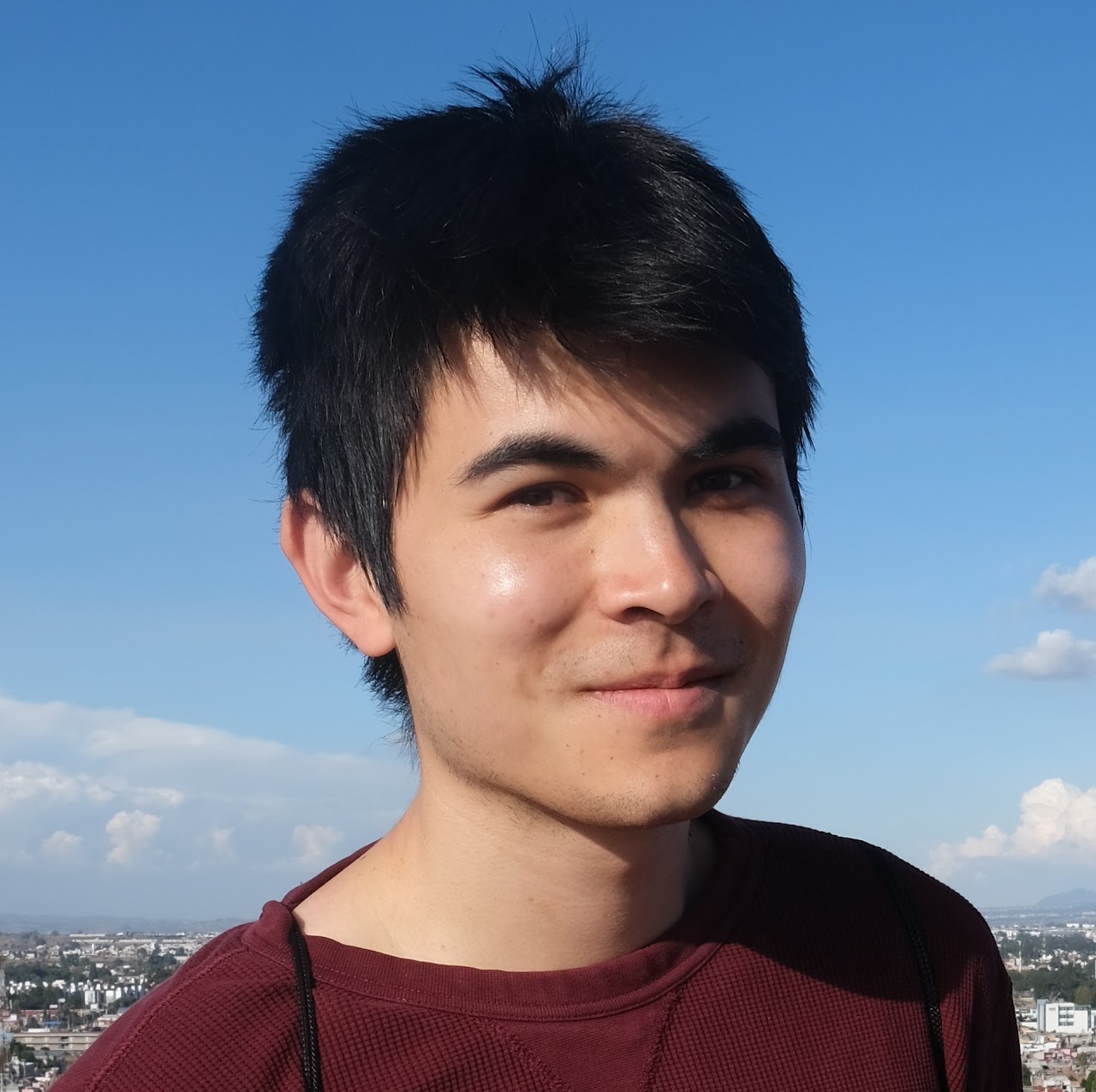 Talks at the Network Science Institute | Max Jerdee