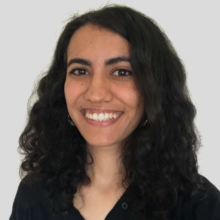 Talks at the Network Science Institute | Amina Abdu