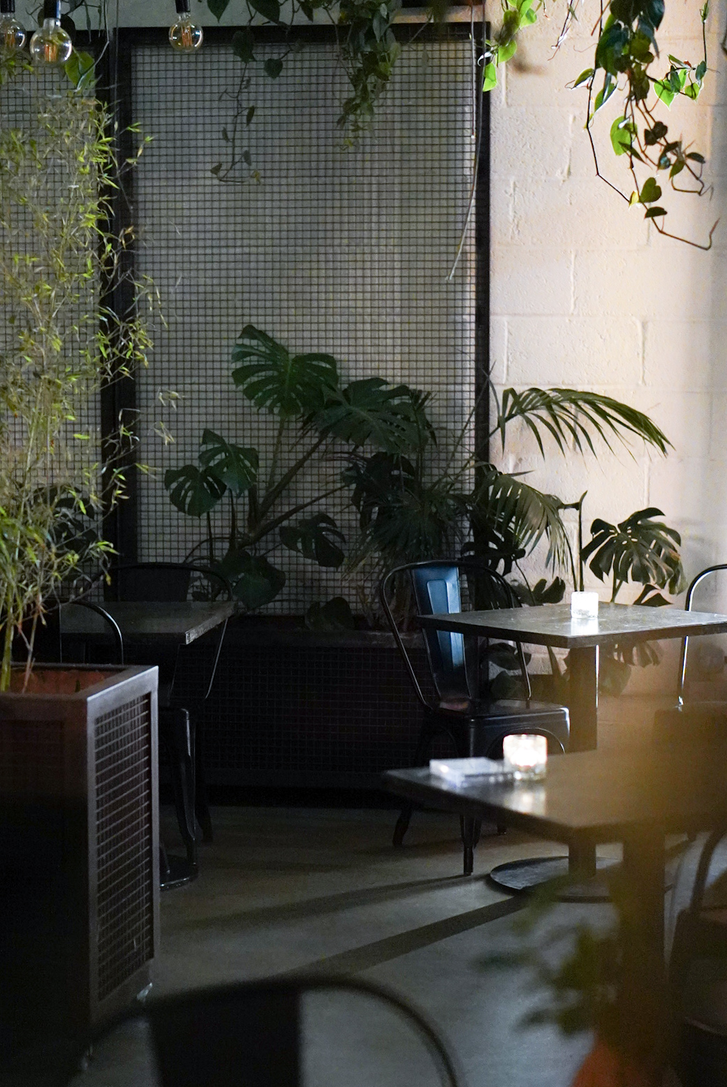 Little Places | The Hackney