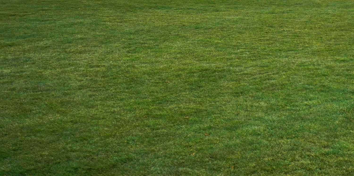 Ninth Line Family Golf | Home