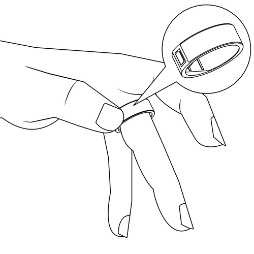 User Guide | Circular