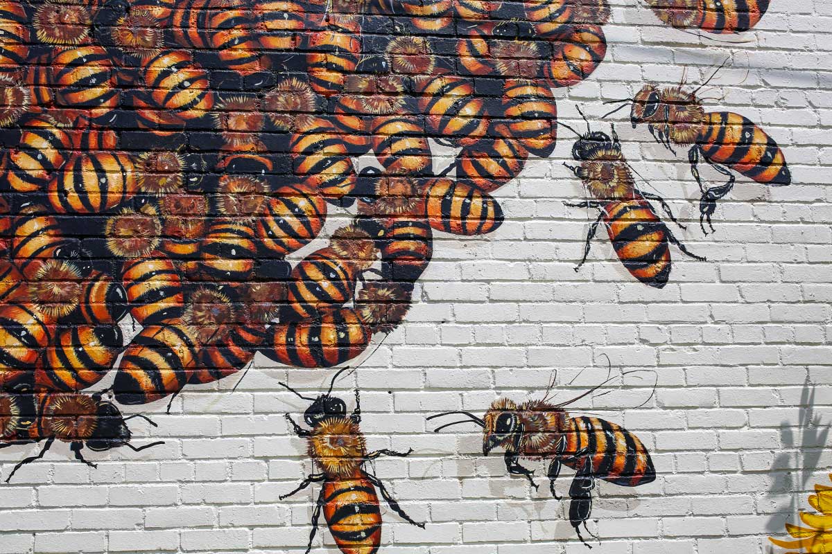 Visit Lake City, SC - Murals: "The Good of the Hive"