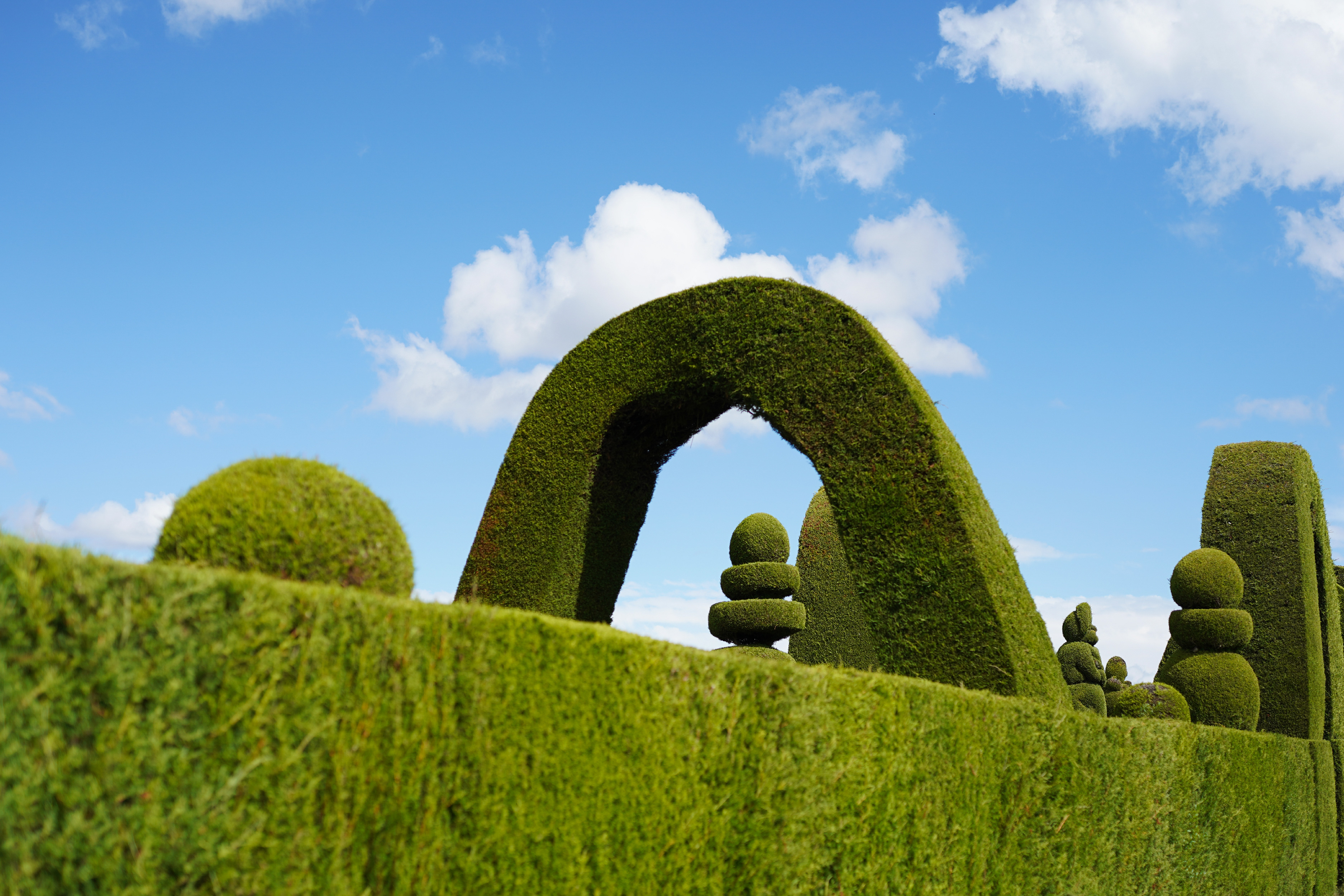 Visit Lake City, SC - Festivals & Events: Live Topiary Demonstration (3 ...