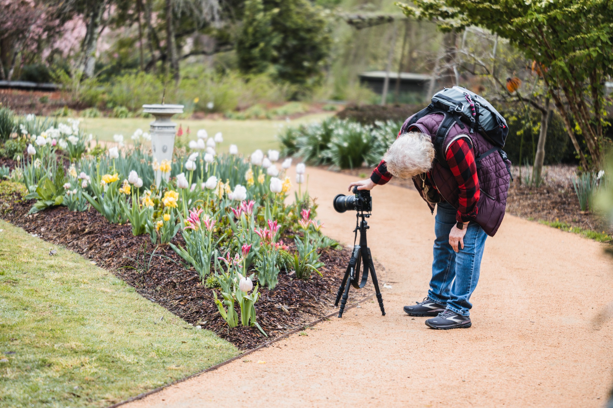 Visit Lake City, SC - Festivals & Events: Photography Stroll