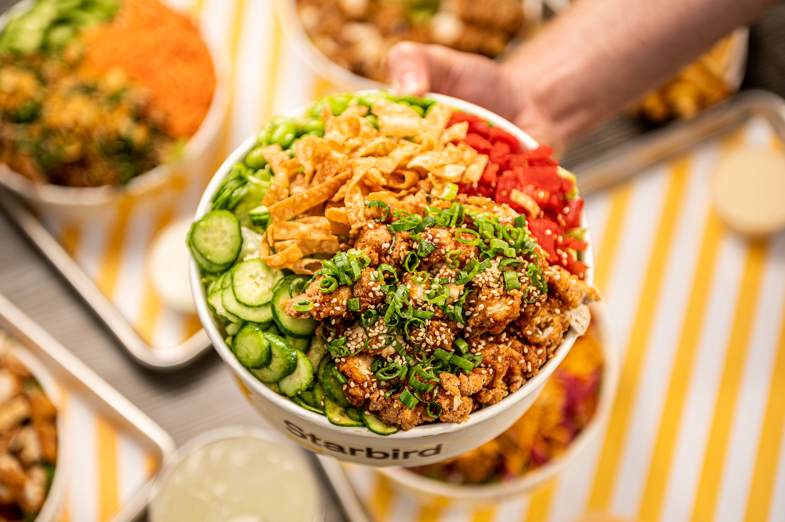 Starbird Chicken || Tik Tok