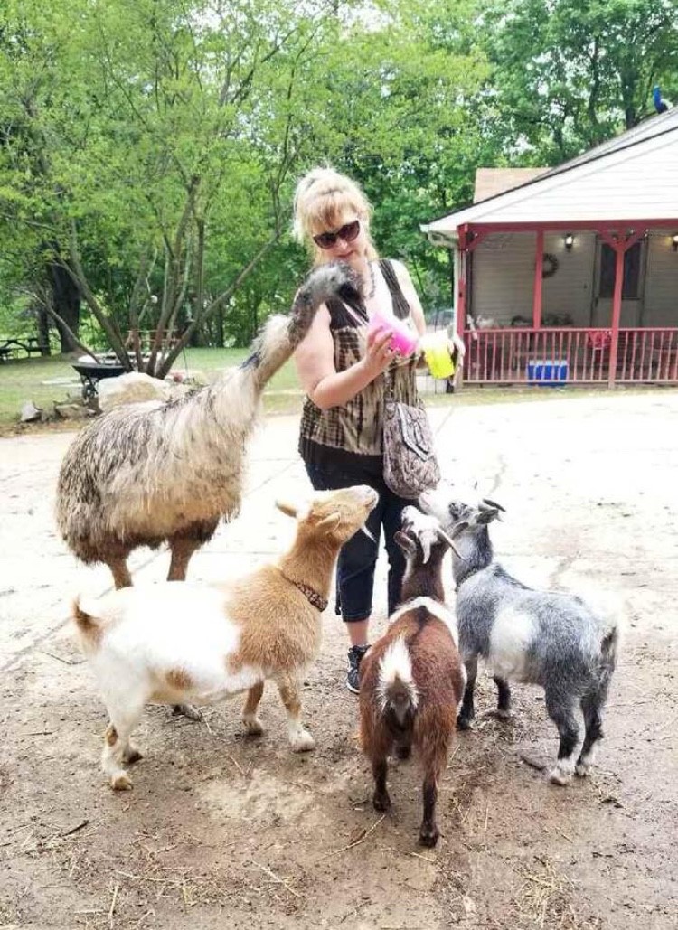 Tours at Hope Haven | Farm Animal Sanctuary