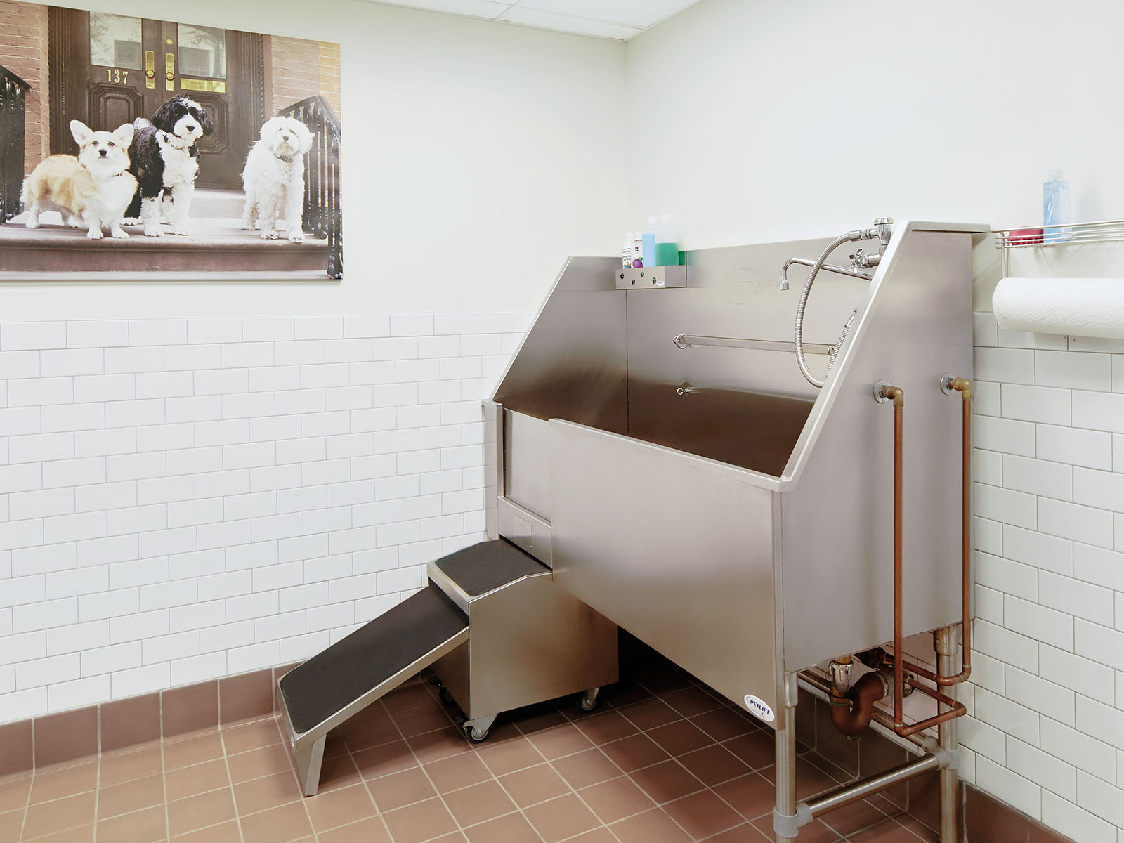 Throw Me A Bone | Locations