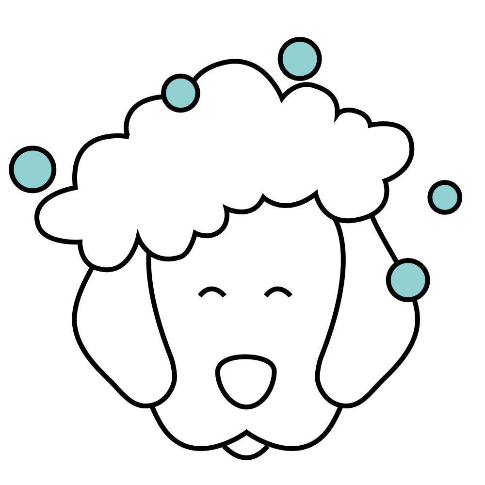 Throw Me A Bone | Home