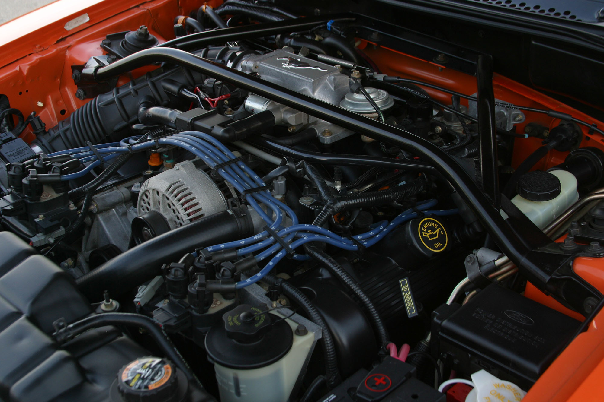 TANGERINE PRESERVATION Preserving one of 826 Mustangs in 1996