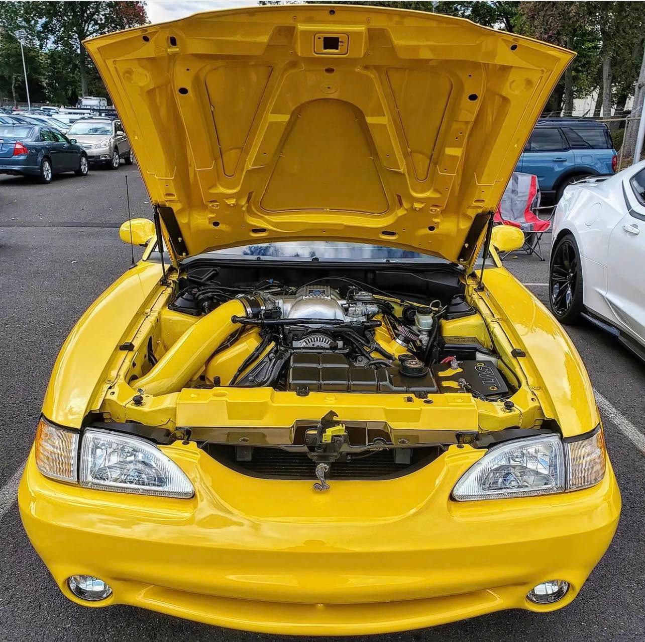YAWNICKS 98 COBRA