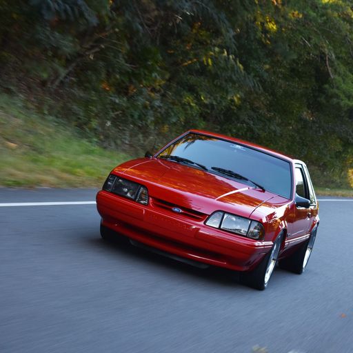 Mike Medley Red Fox