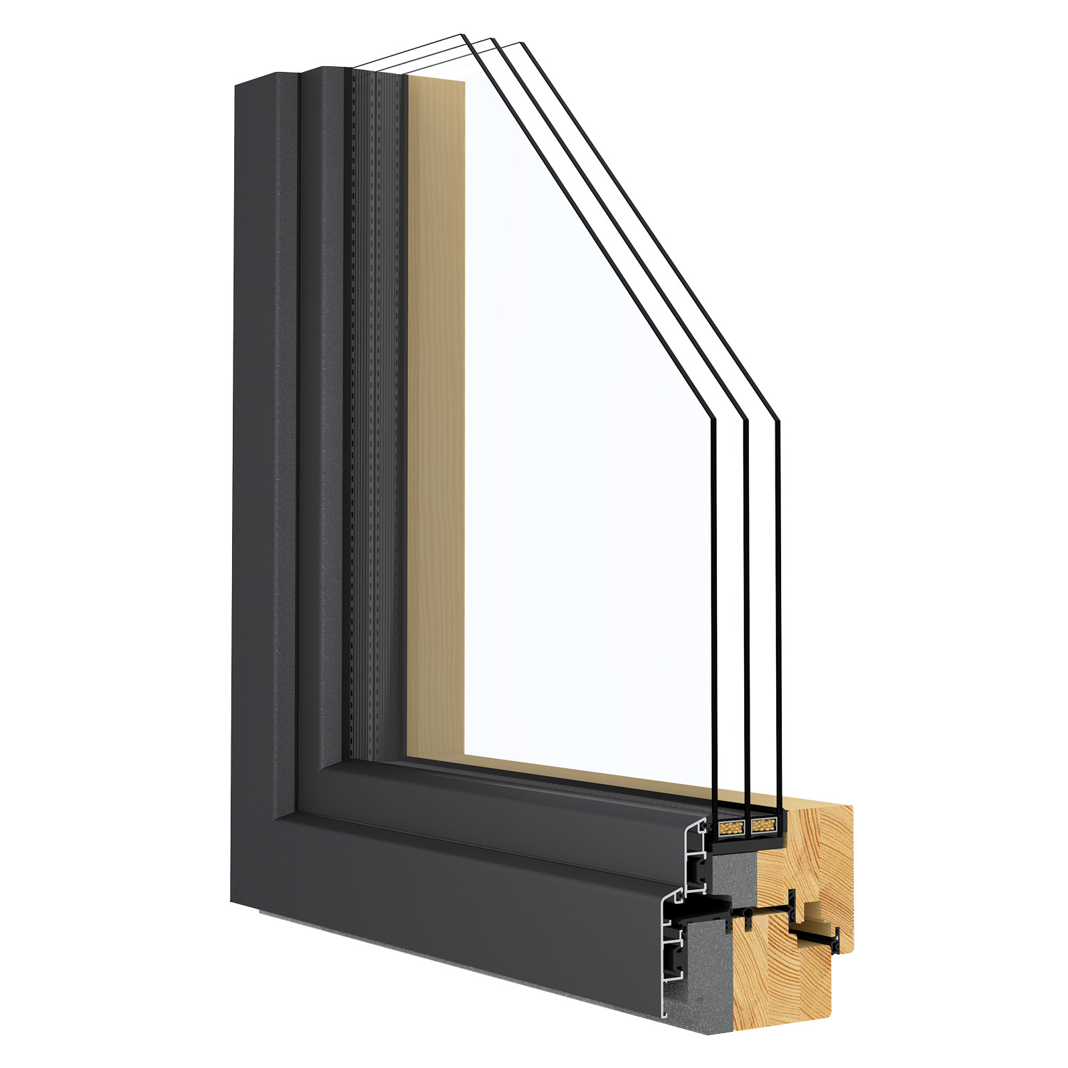 Clad Wood Windows & Doors | Zola European Windows