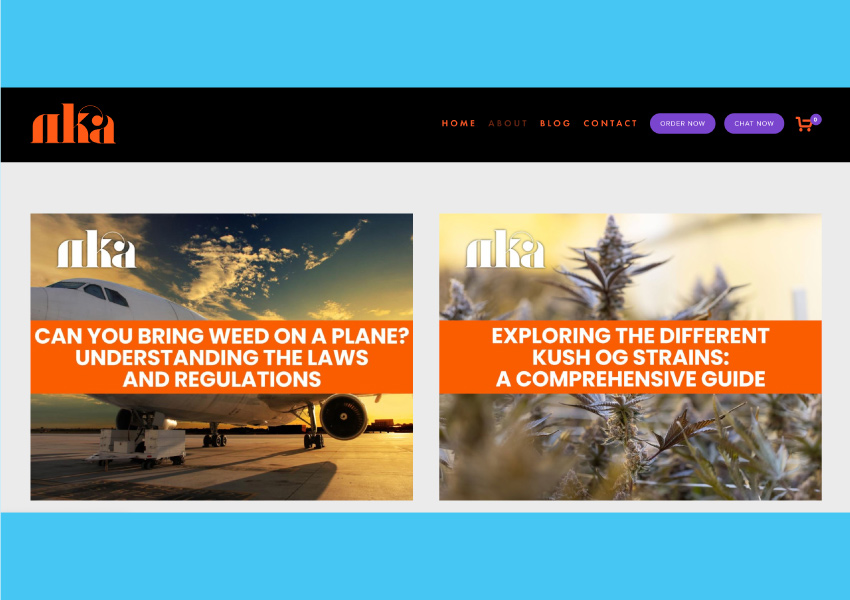 Responsive Web Design: What It Is & How It Can Benefit You