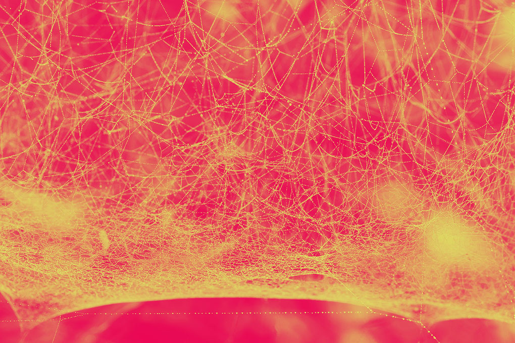 How to Measure Hedge Fund Overlap and Why it Matters