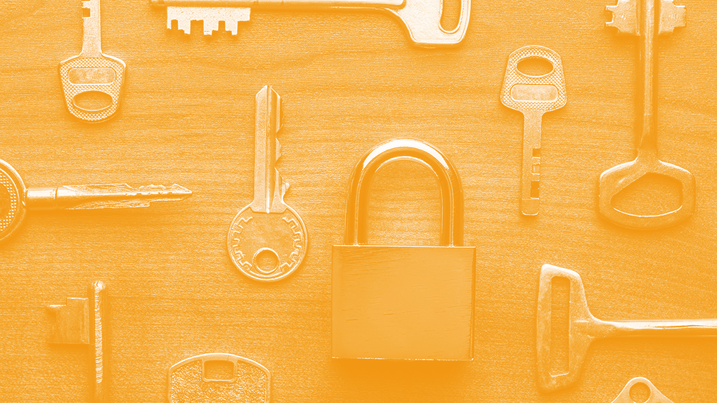 What Can Portfolio Aggregation Unlock?