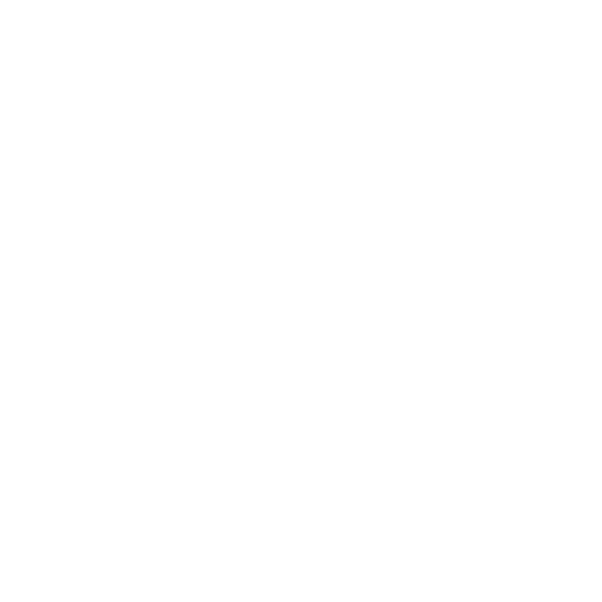 iNDO - Southeast Asian Cuisine