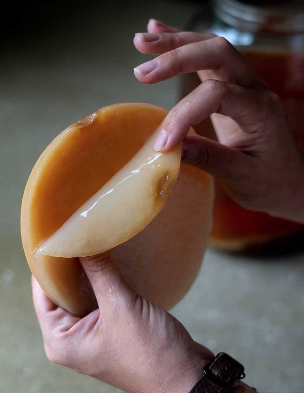 Buchi | Kombucha and Kefir Soda