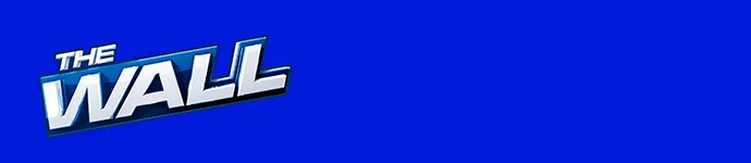 The Wall - Reality Show Application Form