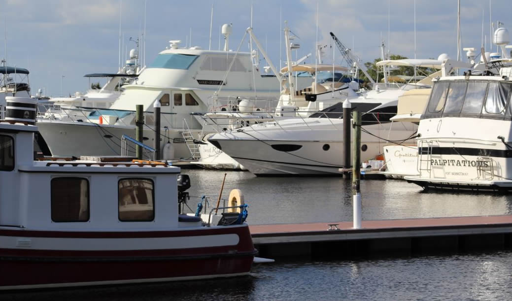 O’Hara Pest Control Bed Bugs Exterminator For Yachts And Marinas West ...