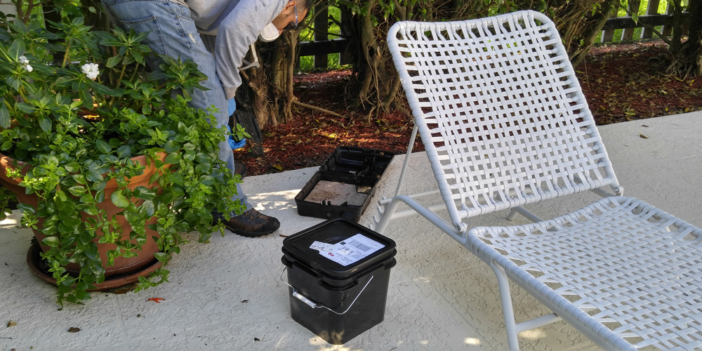 O'Hara Pest Control Gets Rid Of Bed Bugs, Roaches, and Rodents in ...
