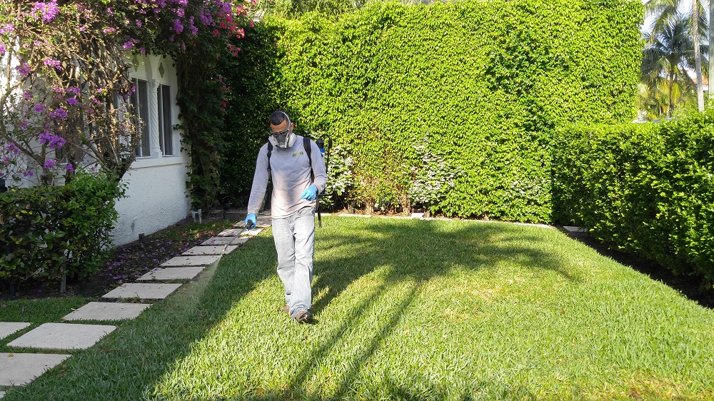 Have A Beautiful Lawn O'Hara Pest Control Lawn Disease Care