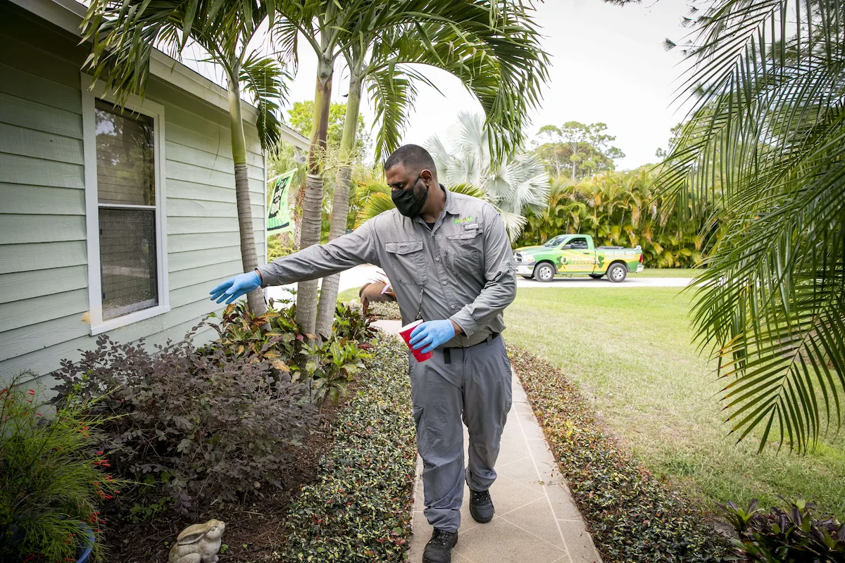 O'Hara Pest Control