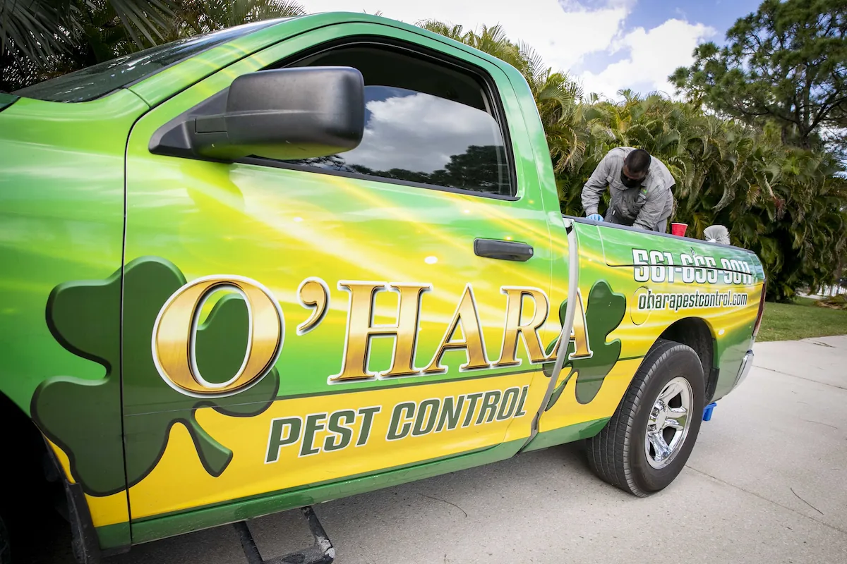O'Hara Pest Control