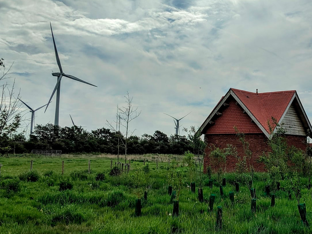 Ecology Solutions | Ecology Services | Planning