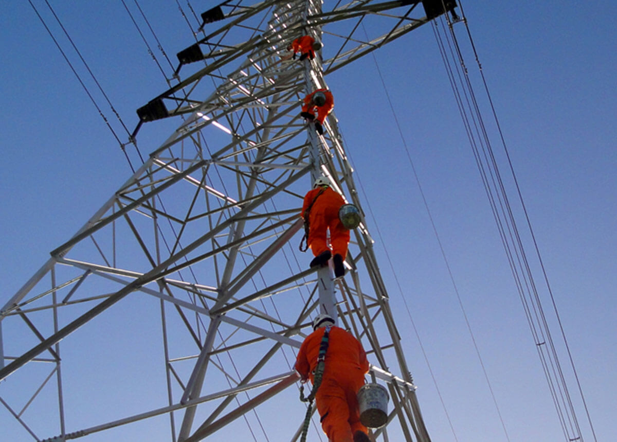 Tower Division NZQF Certificates - Cake Commercial Services