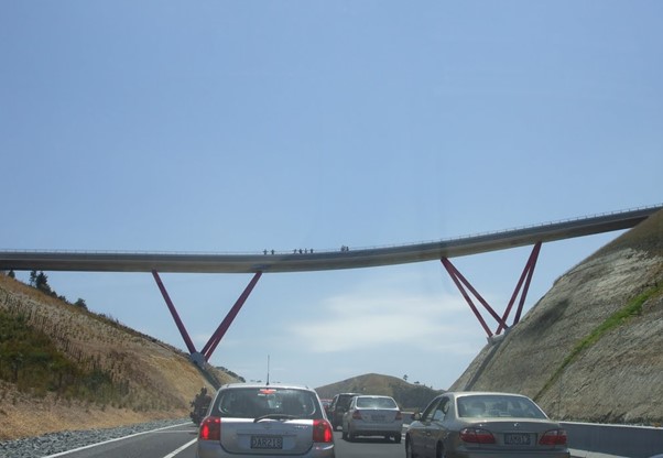 Hillcrest Rd Underpass Pier coating – Pukeko Bridge Legs - Cake ...