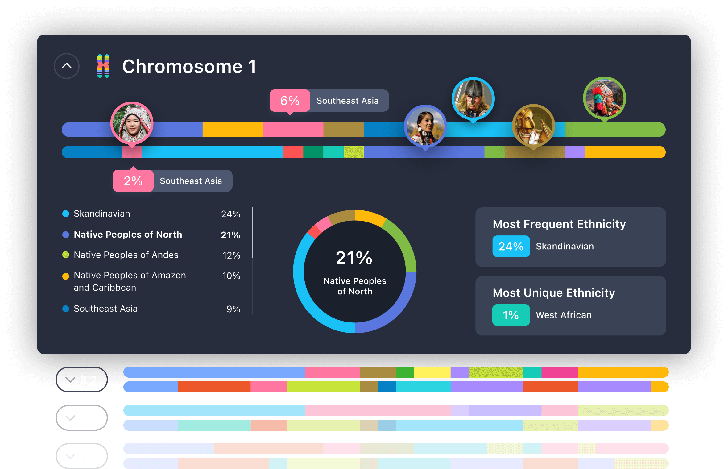 Global Ancestry DNA Report | Population Makeup | Genomelink