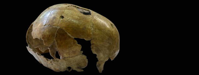 Neanderthal DNA Report | Neanderthal Ancestry Test | Genomelink