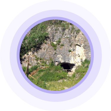 Neanderthal DNA Report | Neanderthal Ancestry Test | Genomelink