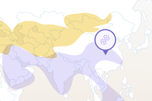 Neanderthal DNA Report | Neanderthal Ancestry Test | Genomelink
