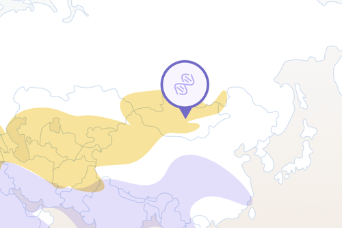Neanderthal DNA Report | Neanderthal Ancestry Test | Genomelink