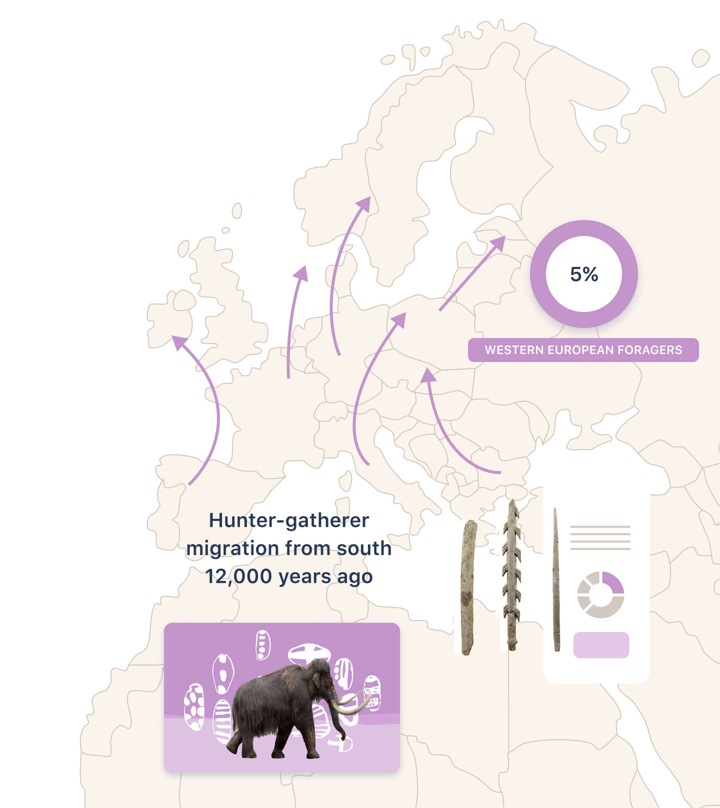 Ancient European DNA Report | European Ancestry Test | Genomelink