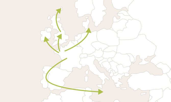 Ancient European DNA Report | European Ancestry Test | Genomelink