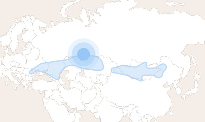 Ancient European DNA Report | European Ancestry Test | Genomelink