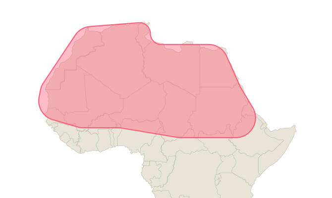 African Heritage DNA Report | African Ancestry Test | Genomelink