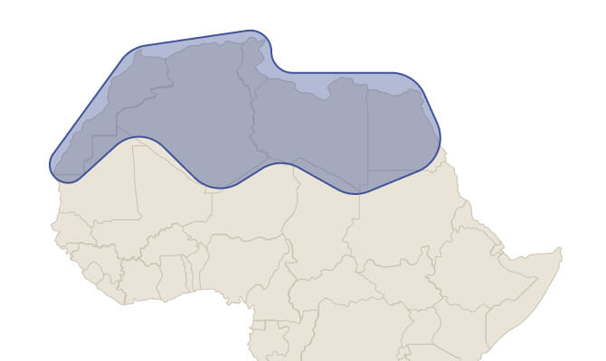 African Heritage DNA Report | African Ancestry Test | Genomelink