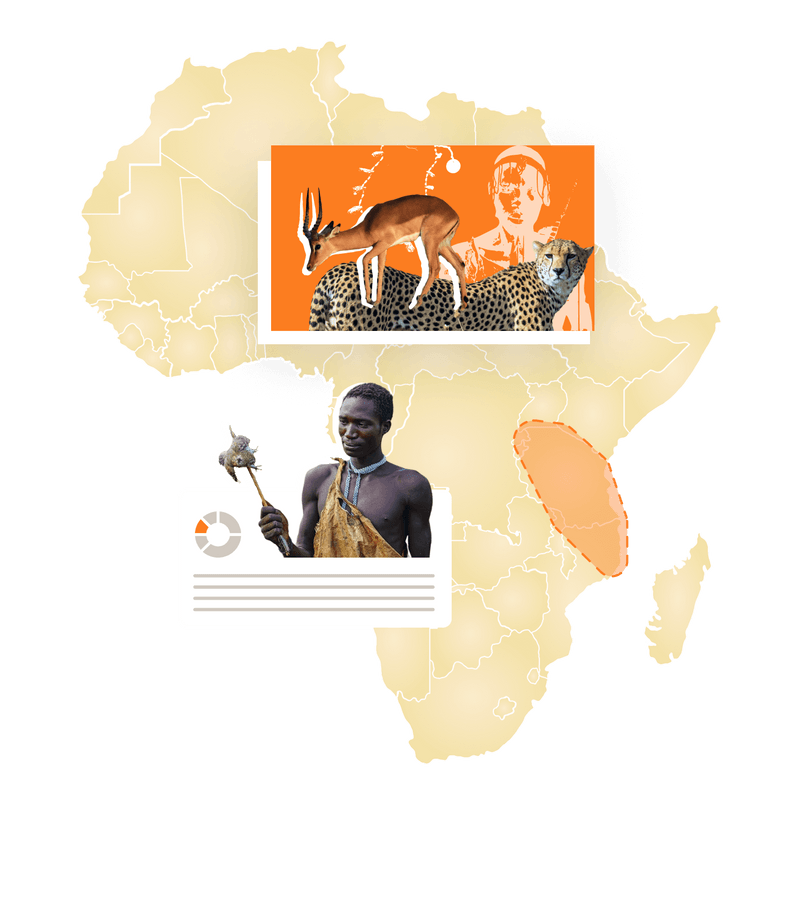 African Heritage DNA Report | African Ancestry Test | Genomelink