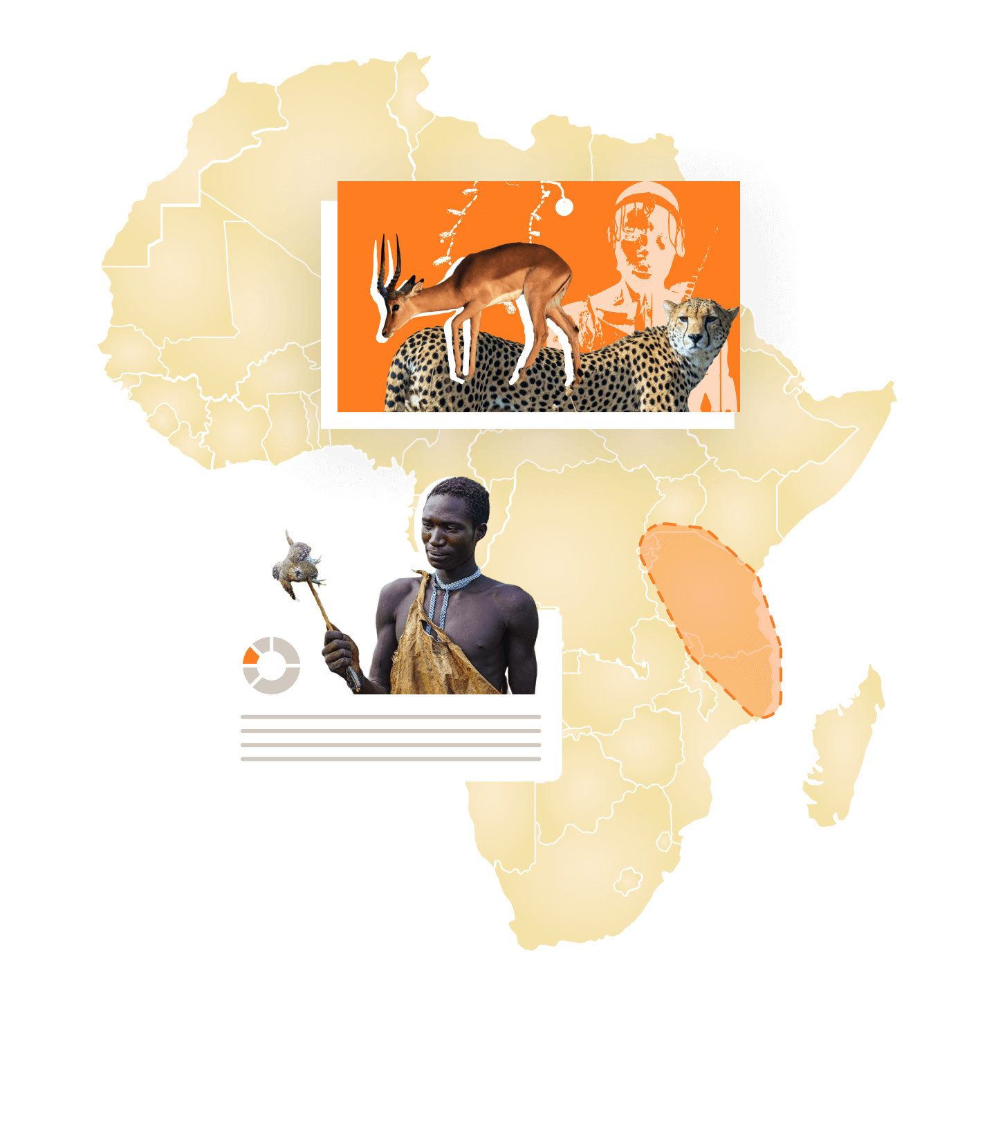 African Heritage DNA Report | African Ancestry Test | Genomelink
