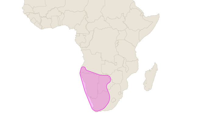 African Heritage DNA Report | African Ancestry Test | Genomelink