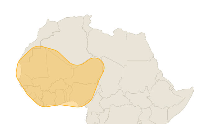 African Heritage DNA Report | African Ancestry Test | Genomelink
