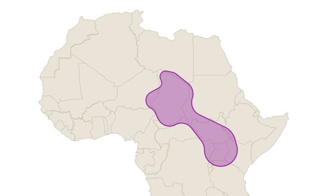 African Heritage DNA Report | African Ancestry Test | Genomelink